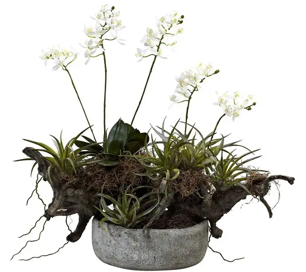 NEARLY NATURAL Orchid & Succulent Garden With Vase Nearly N Atural - One-color