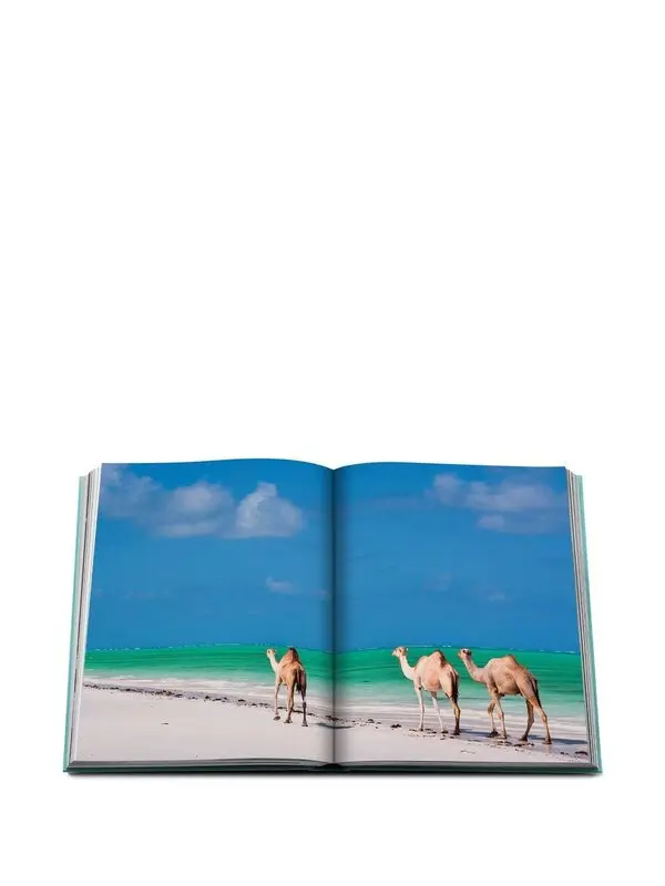 Assouline Red Sea: The Saudi Coast Book