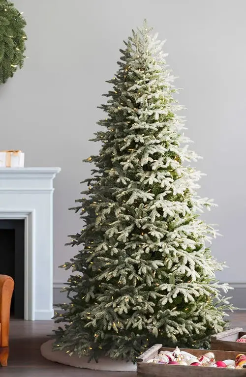 BALSAM HILL Frosted Fraser Fir® Pre-lit Artificial Tree
