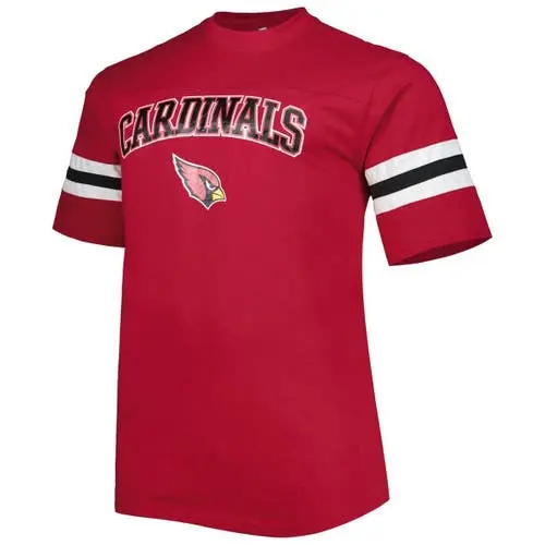 Profile Arizona S Big & Tall Arm Stripe T-shirt
