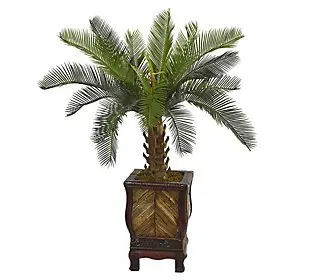 NEARLY NATURAL 3' Cycas Tree In Wood Planter - One-color