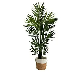 NEARLY NATURAL 7' Kentia Artificial Palm In Pla Nter - One-color