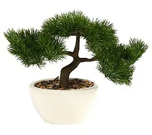 NEARLY NATURAL 10' Cedar Bonsal Tree In Planter - One-color