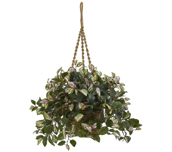 NEARLY NATURAL Hoya Artificial Plant Hanging Basket Nearly Atural - One-color
