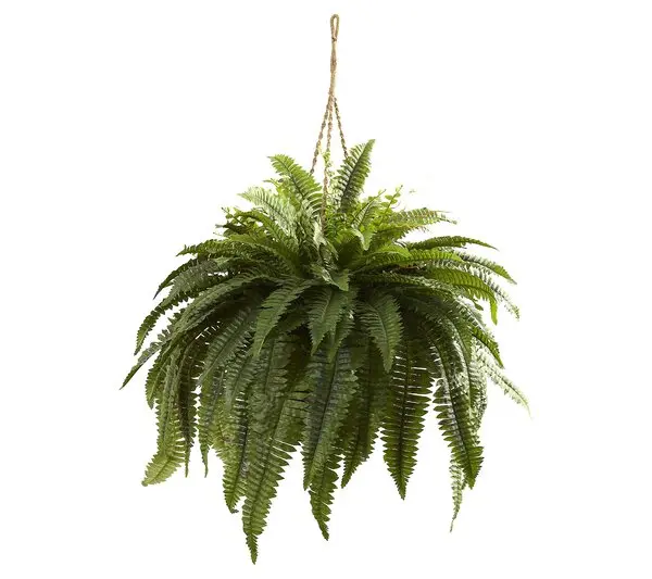 NEARLY NATURAL Double Giant Boston Fern Hanging Basket Near Ly Natural - One-color