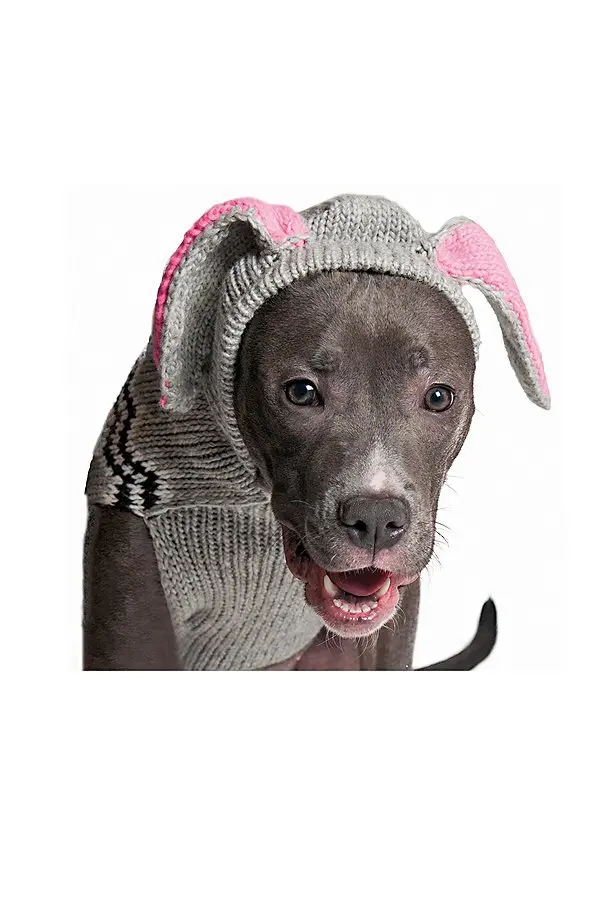 CHILLY DOG Bunny Hoodie Dog Sweater - Light Grey