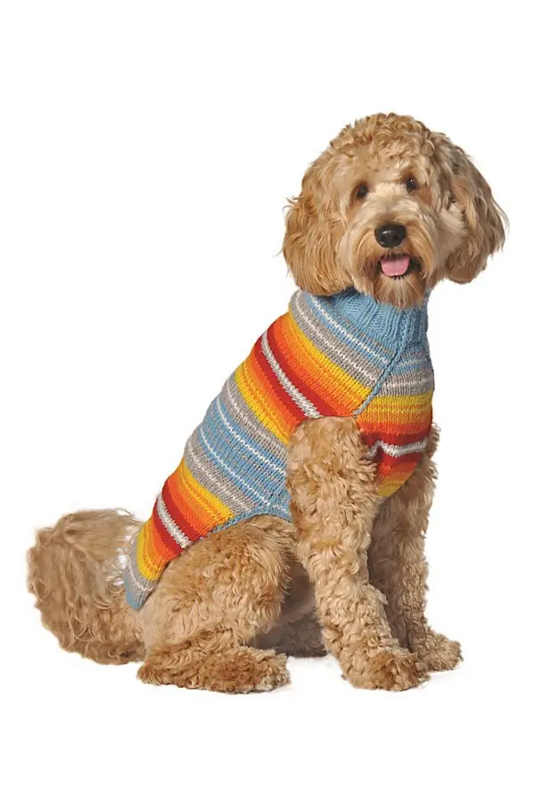 CHILLY DOG Serape Dog Sweater - White