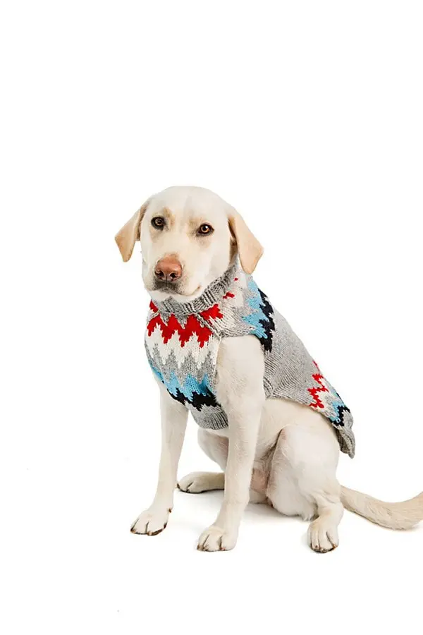 CHILLY DOG Chevron Dog Sweater