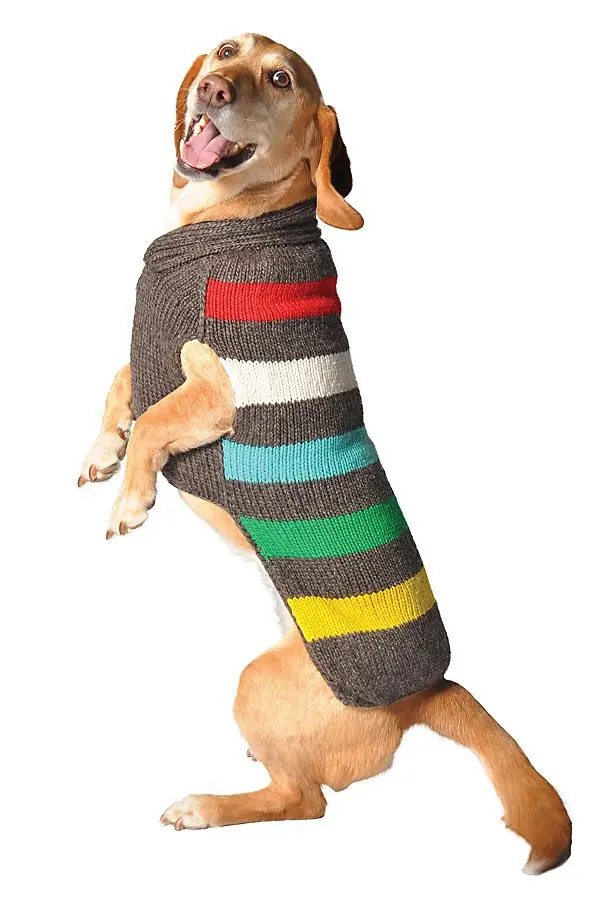 CHILLY DOG Charcoal Stripe Dog Sweater - White