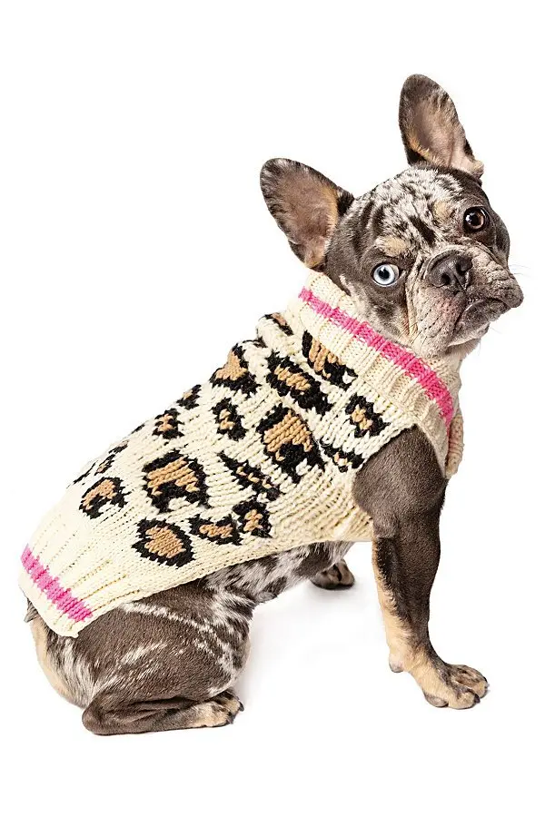 CHILLY DOG Leopard Dog Sweater