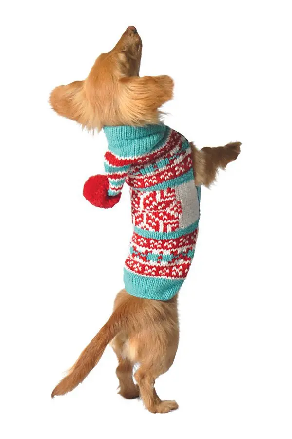 CHILLY DOG Peppermint Hoodie Dog Sweater - Blue