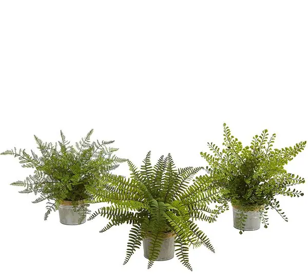 NEARLY NATURAL Set Of 3 14' Assorted Ferns With Planter Nea Rly Natural - One-color