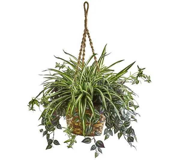 NEARLY NATURAL Wandering Jew & Spider Plant Hanging Basket Early Natural - One-color