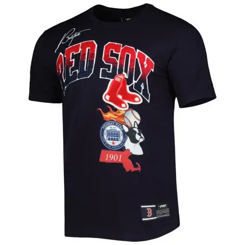 PRO STANDARD Boston Red Sox Hometown T-shirt