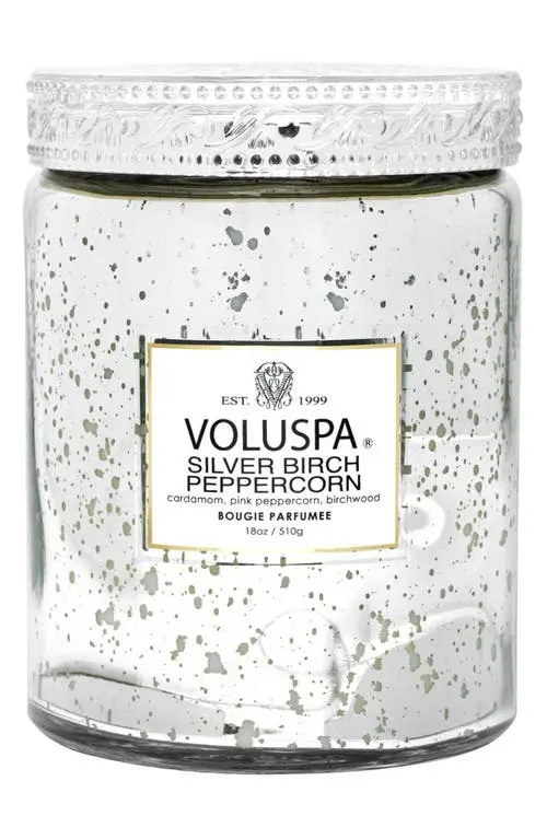 Voluspa Peppercorn Large Jar Candle - Silver Birch
