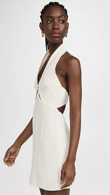 Cult Gaia Rumi Dress