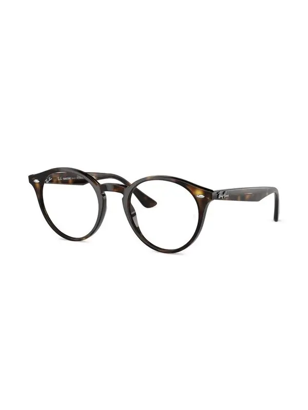Ray-ban Round-frame Glasses