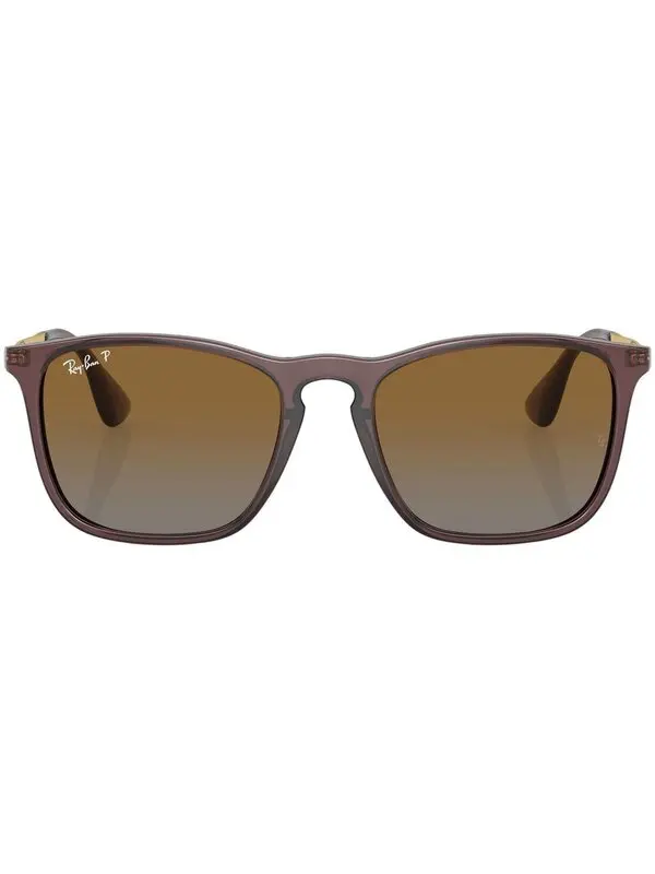 Ray-ban Wayfarer Frame Sunglasses - Brown