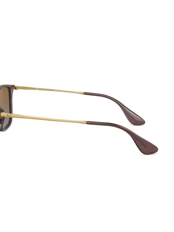 Ray-ban Wayfarer Frame Sunglasses - Brown