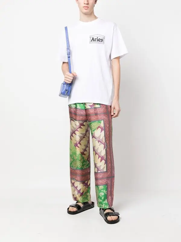 Aries Art Trip Logo-print T-shirt