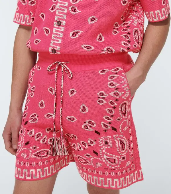 Alanui Bandana Cotton-blend Piqué Shorts - Pink