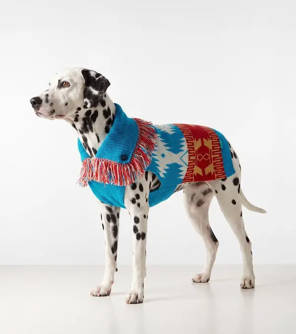 Alanui X Poldo Dog Couture Dog Sweater