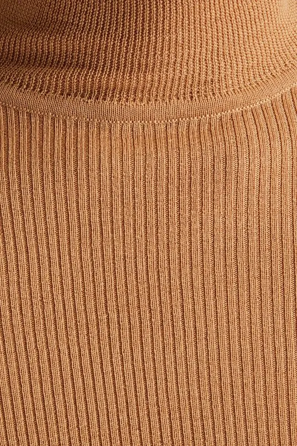 Alberta Ferretti Ribbed Wool Turtleneck Sweater
