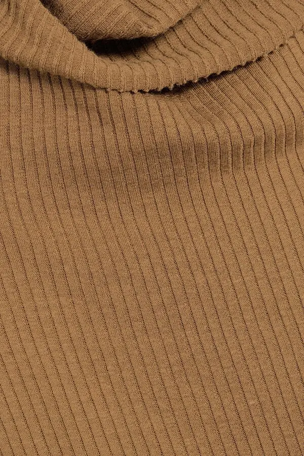 Enza Costa Ribbed Tencel-blend Jersey Turtleneck Top