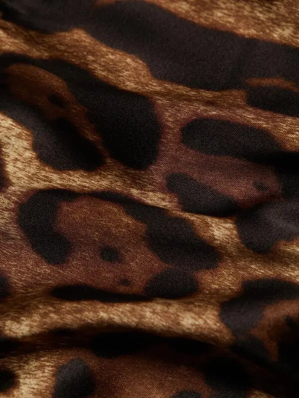 Dolce & Gabbana Leopard Silk Hipster Brief