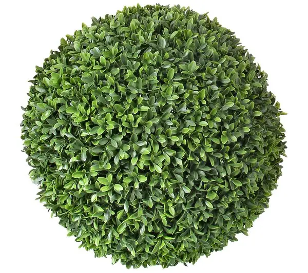 VALERIE PARR HILL American Boxwood Ball 16'd Valerie - One-color