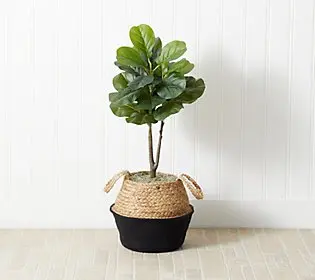 NEARLY NATURAL 3' Faux Fiddle Leaf Fig Tree W/ Asket Diy Kit - One-color
