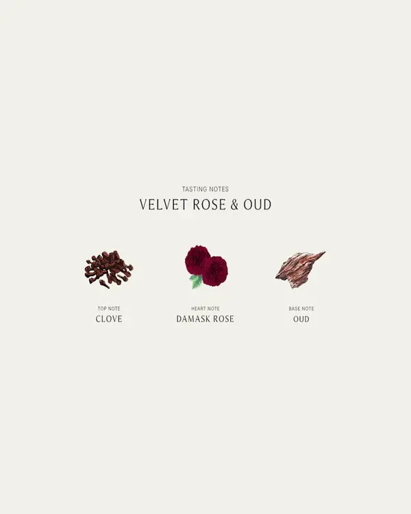 Jo Malone Velvet Rose And Oud Cologne Intense - One-color