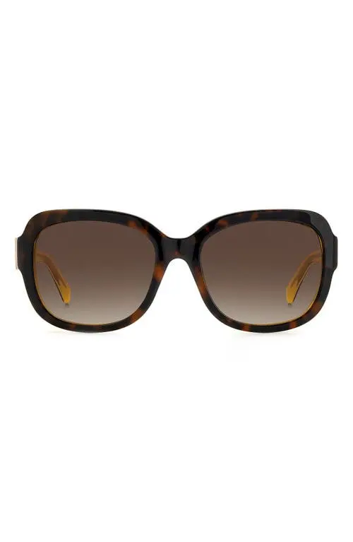 Kate Spade New York Laynes Sunglasses - Havana Yellow/brown