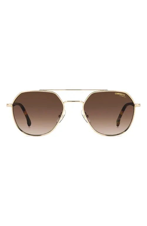 Carrera Eyewear 53mm Round Sunglasses - Gold Havana/brown