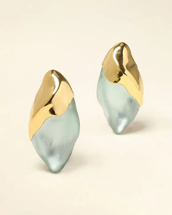 Display Alexis Bittar Clip On Earrings Alexis Bittar Lucite Molten