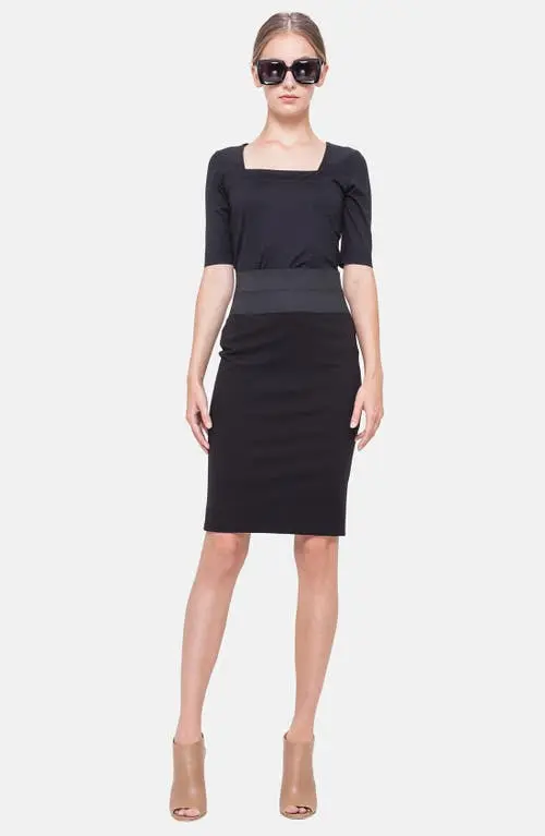 Akris Pencil Skirt