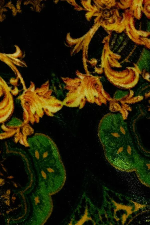 Alice + Olivia Stephine Printed Velvet Maxi Skirt - Green