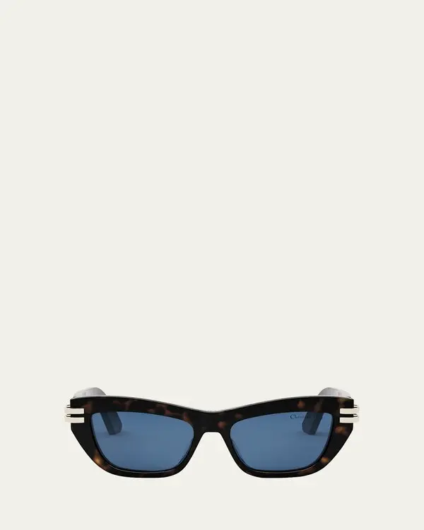 Dior Cdior B2u Sunglasses - Dhav/blu
