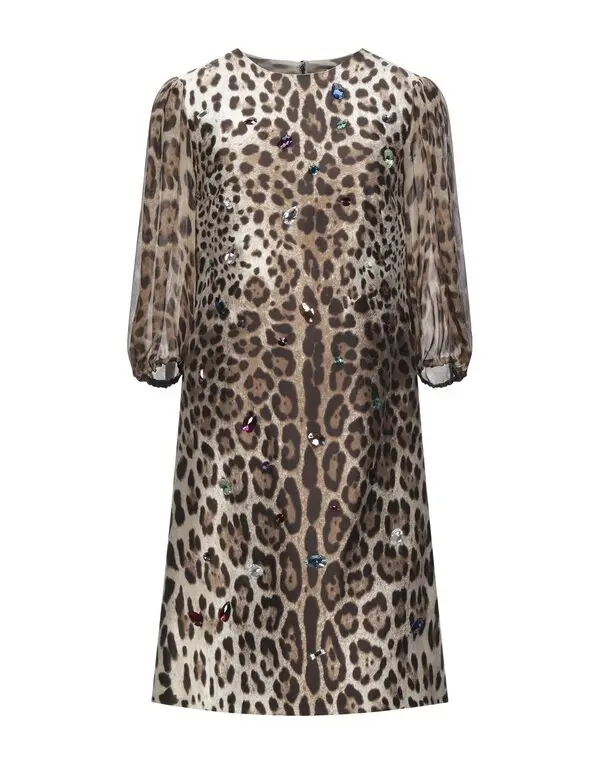 Dolce & Gabbana Mini Dress With Leopard Print