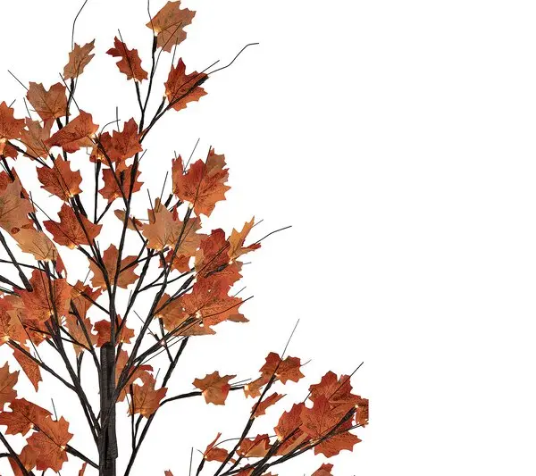 NORTHLIGHT 6' Led Lighted Autumn Harvest Maple Eaf Tree