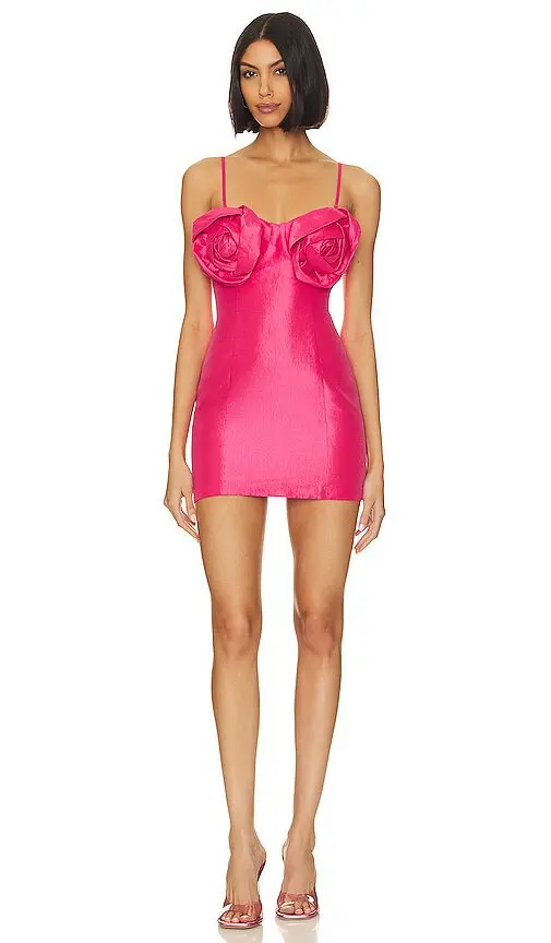 Nbd Tacy Mini Dress