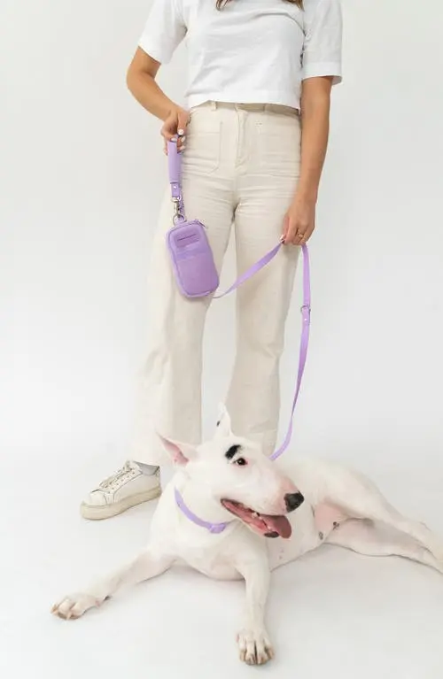 SPRINGER Dog Walk Starter Set - Lilac