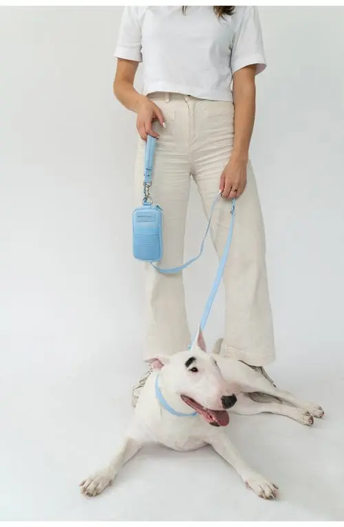 SPRINGER Dog Walk Starter Set - Sky Blue