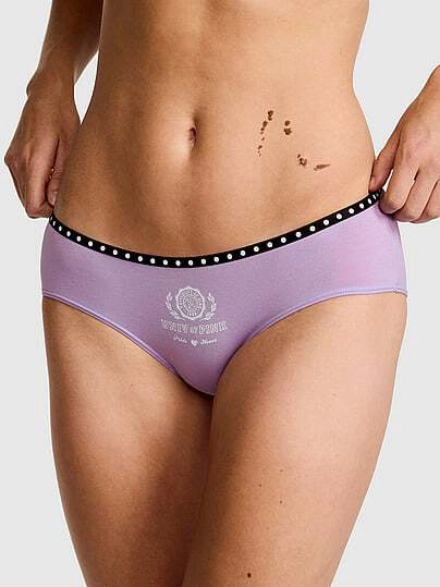 Pink Mesh Hiphugger Panty - Purple