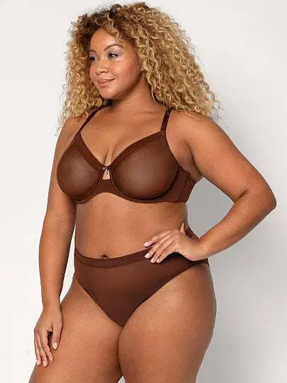 Victoria's Secret Curvy Couture Sheer Mesh High-leg Brief Panty - Brown