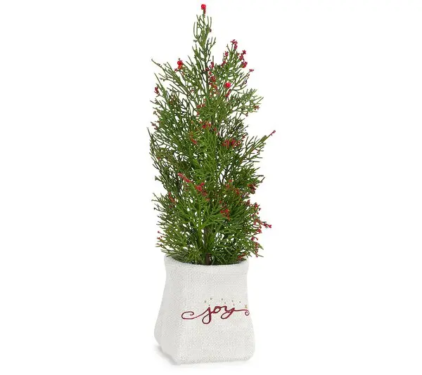 MELROSE Mini Pine Tree With Berries In Ceramic T
