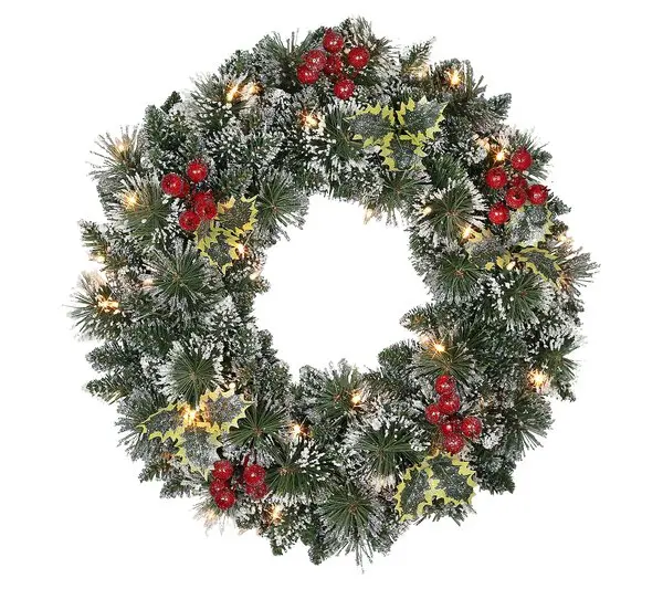 PULEO INTERNATIONAL Puleo 24' Pre-lit Snowy Silverton Pine Wreath 5 0 Clear Lights - One-color
