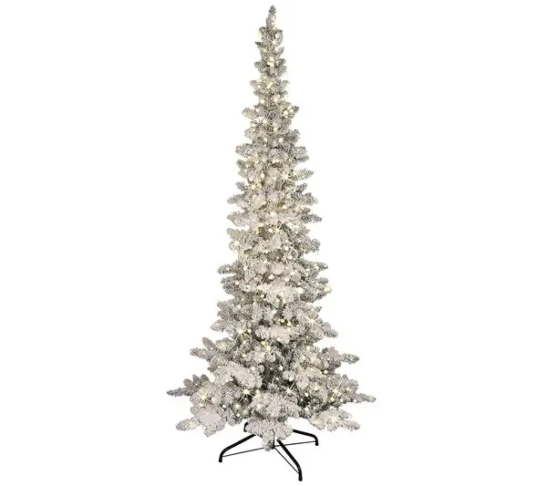 PULEO INTERNATIONAL Puleo 6.5' Pre-lit Flocked Whistler Artificial Ine Tree - One-color