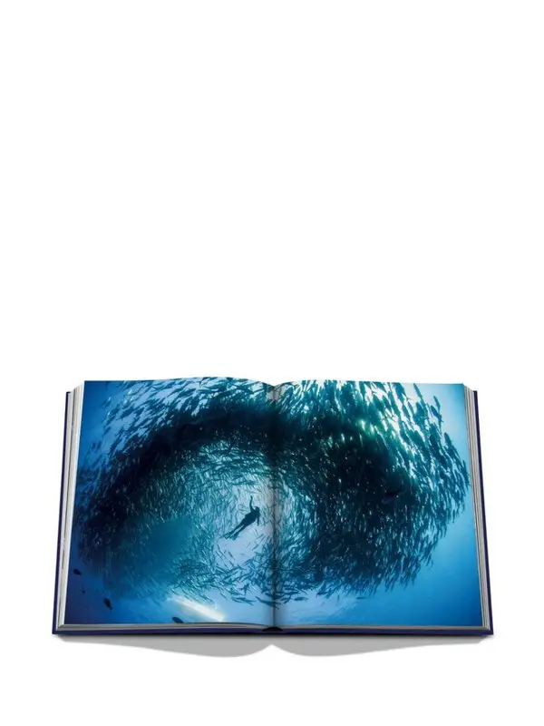 Assouline Ocean Wanderlust Book - Blue