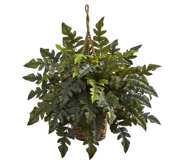 NEARLY NATURAL Holly Fern Hanging Basket By - One-color